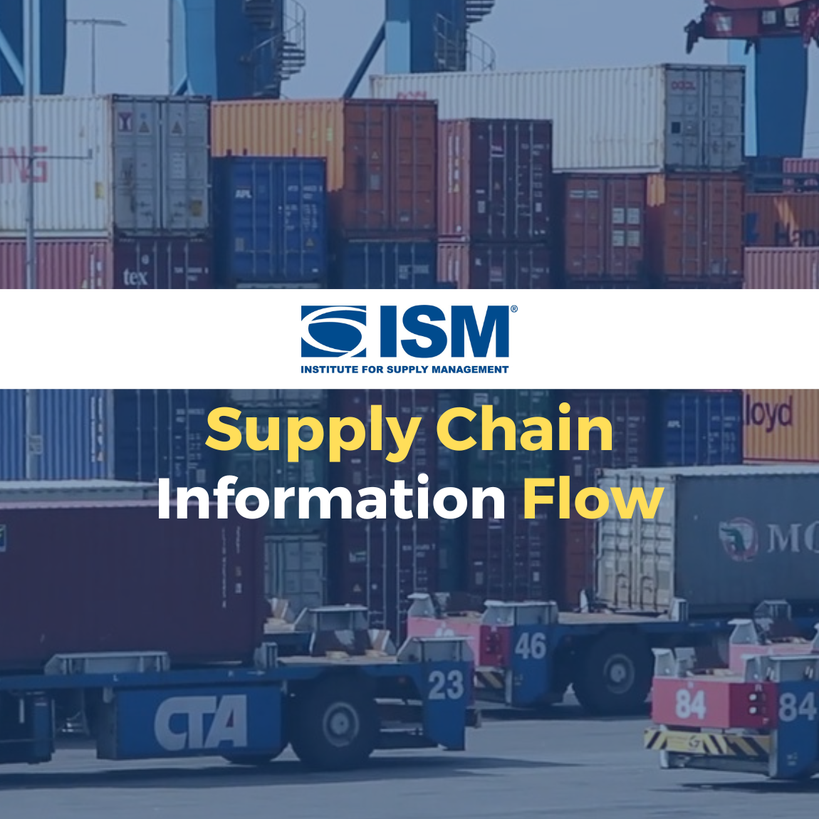 Supply Chain Information Flow 2304